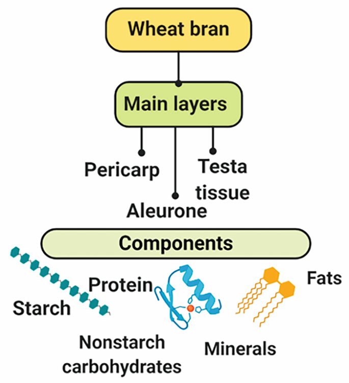 Wheat Straw: Phytochemical and Pharmacological Aspects | Springer ...
