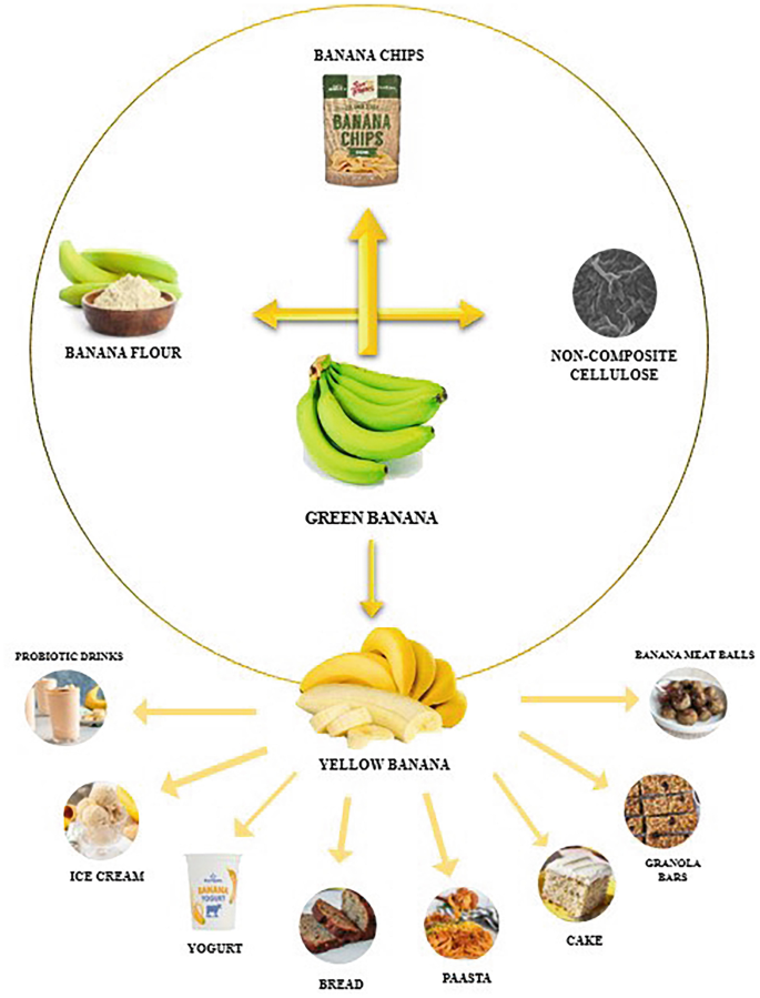 Banana and Its By-products: A Comprehensive Overview of Nutritional ...