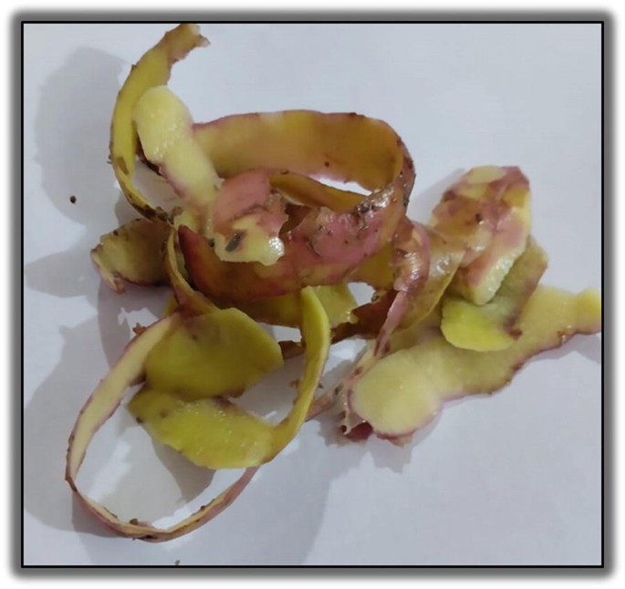 Health Benefits of Potato Peels | Springer Nature Link
