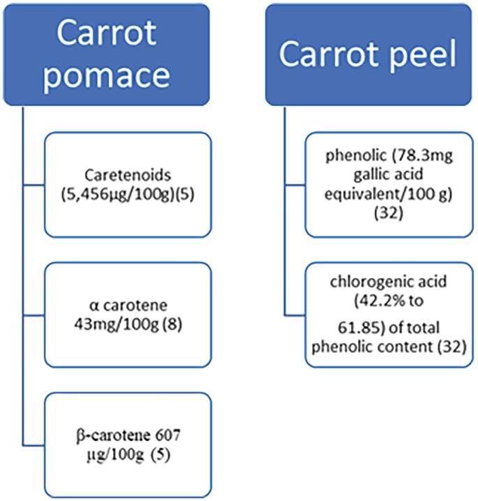 Nutritional Aspects of Carrot By-products | Springer Nature Link