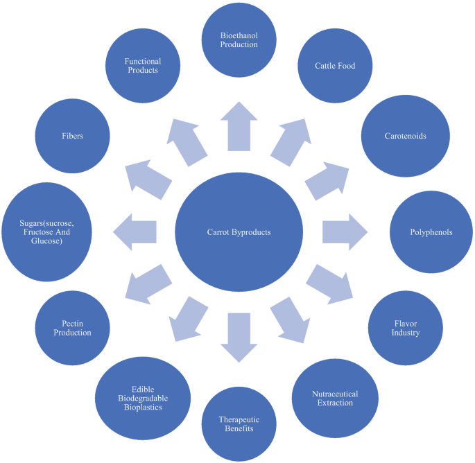 Nutritional Aspects of Carrot By-products | Springer Nature Link