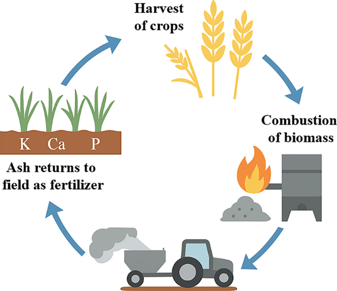 Biomass Ash Definition and Types of Biomass Ash | Springer Nature Link ...