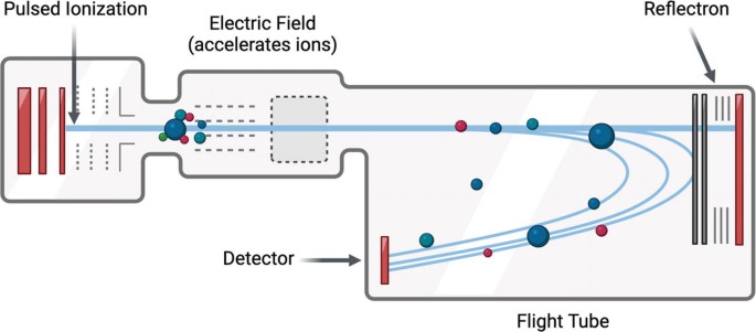 Fundamentals of Mass Spectrometry | Springer Nature Link