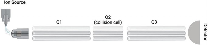 Fundamentals of Mass Spectrometry | Springer Nature Link