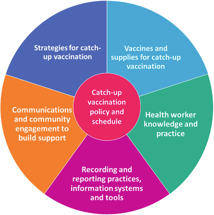 Catching Up Child and Adolescent Vaccinations in Adults | SpringerLink
