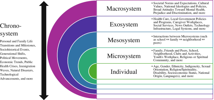 Principles of Mental Health Assessment from a Clinical-Community ...
