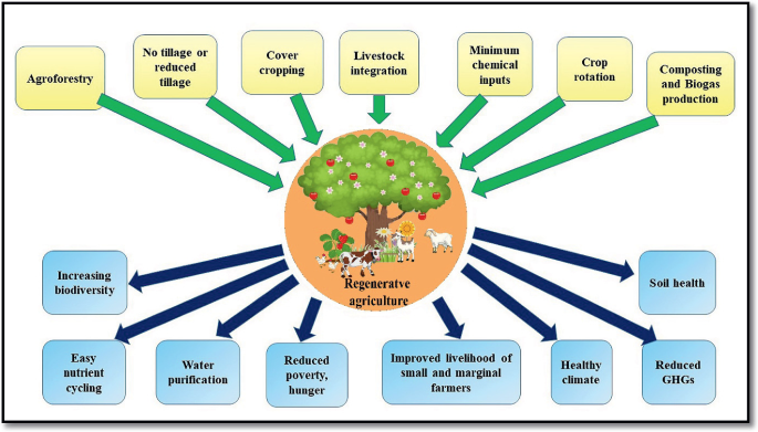 Connecting Climate-Resilient Farming Practices with Regenerative ...