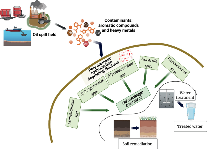 Treatment of Oil Field Discharges with Freeze-Dried Bacteria ...