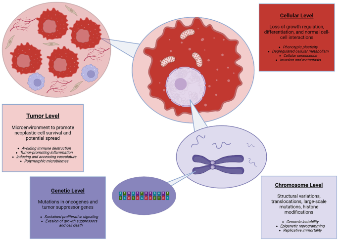 Comparative Pathology | Springer Nature Link