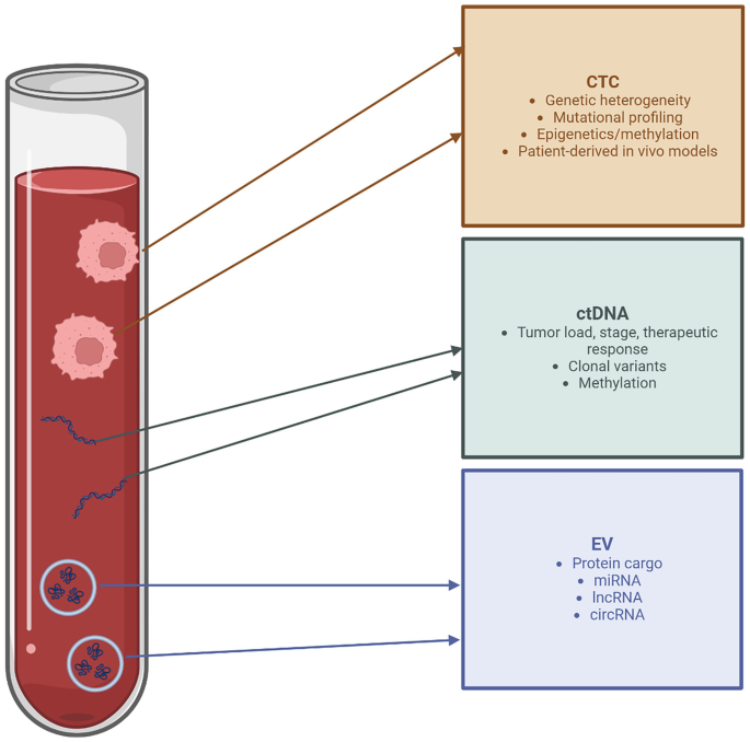 Comparative Pathology | Springer Nature Link