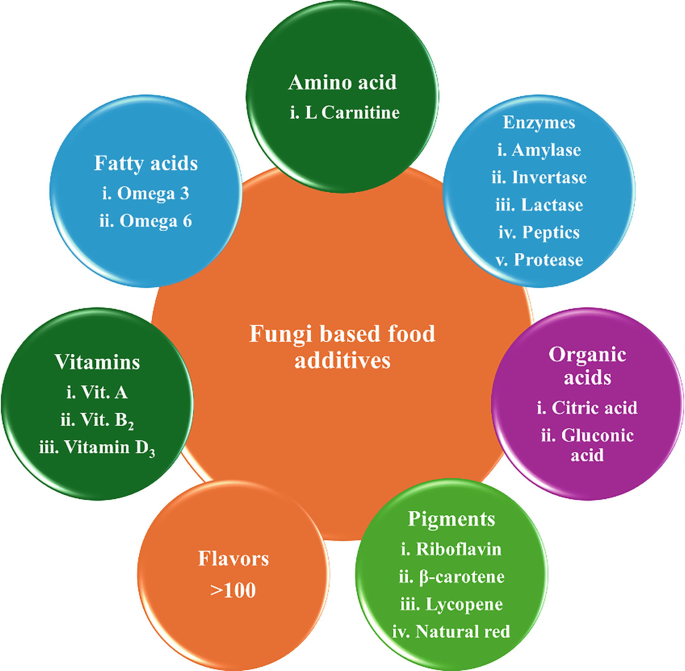 Application of Nanotechnology in Designing Fungal Additives-Based Food ...
