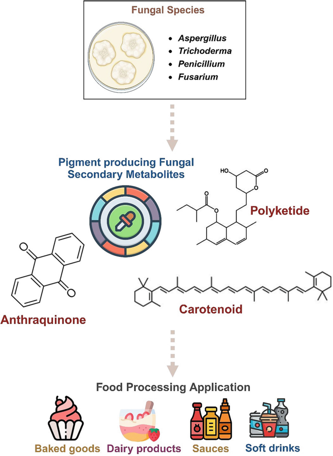 Fungal Secondary Metabolites as Food Preservatives | SpringerLink