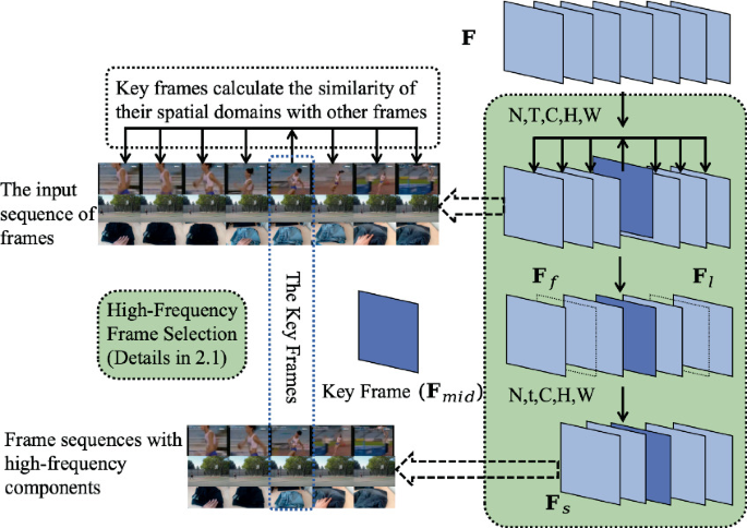 Efficient Long-Term Motion Feature Learning via Frequency-Based Key ...