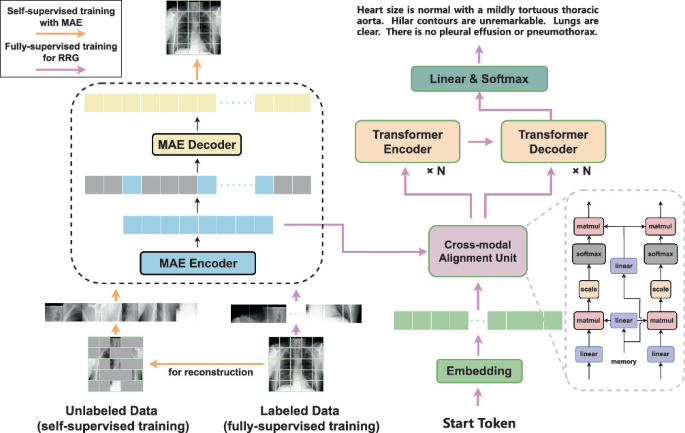 Learning Joint General and Specific Representation with Masked Auto ...
