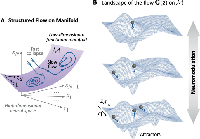 Effect of Neuromodulation on the Brain Dynamical Repertoire | SpringerLink