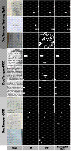 DocForgeNet: Dual Cross-Stream Fusion Network for Robust Forgery ...