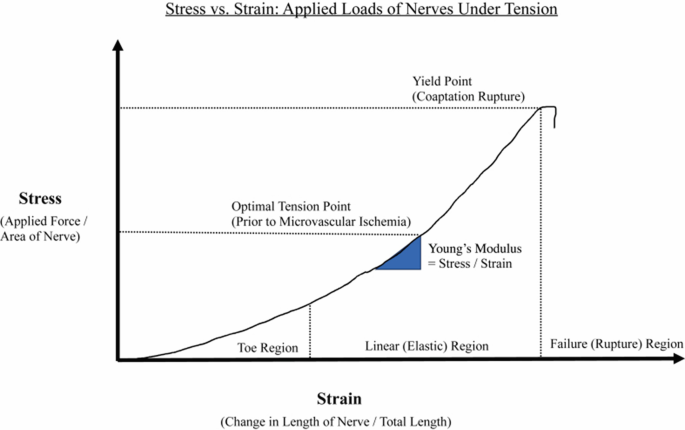 Nerve Repair and Reconstruction | SpringerLink