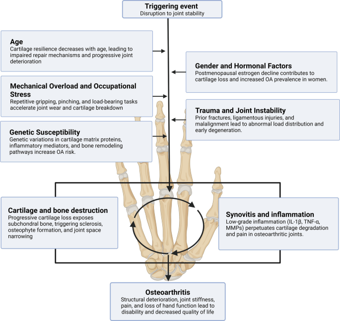 Degenerative Arthritis: Diagnosis and Treatment | Springer Nature Link
