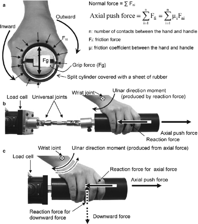 The Significance of Gripping, Forces, and Rehabilitation in Hand ...
