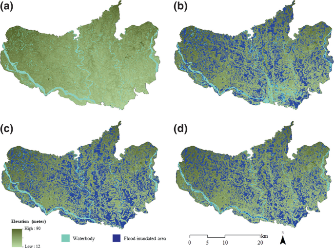 Dynamics of Floodplain Vegetation Under Diverse Inundation Regimes: A ...