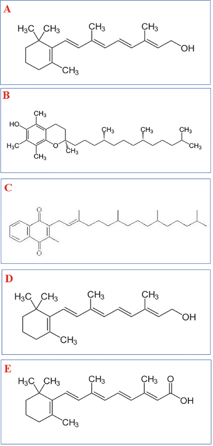 Insect Lipids: Structure, Classification and Function | Springer Nature ...