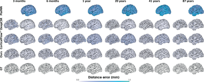 A Curvature-Guided Diffeomorphic Mesh Deformation Framework for ...