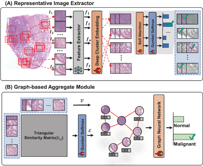 MicroMIL: Graph-Based Multiple Instance Learning for Context-Aware ...