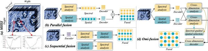 Omni-Fusion of Spatial and Spectral for Hyperspectral Image ...