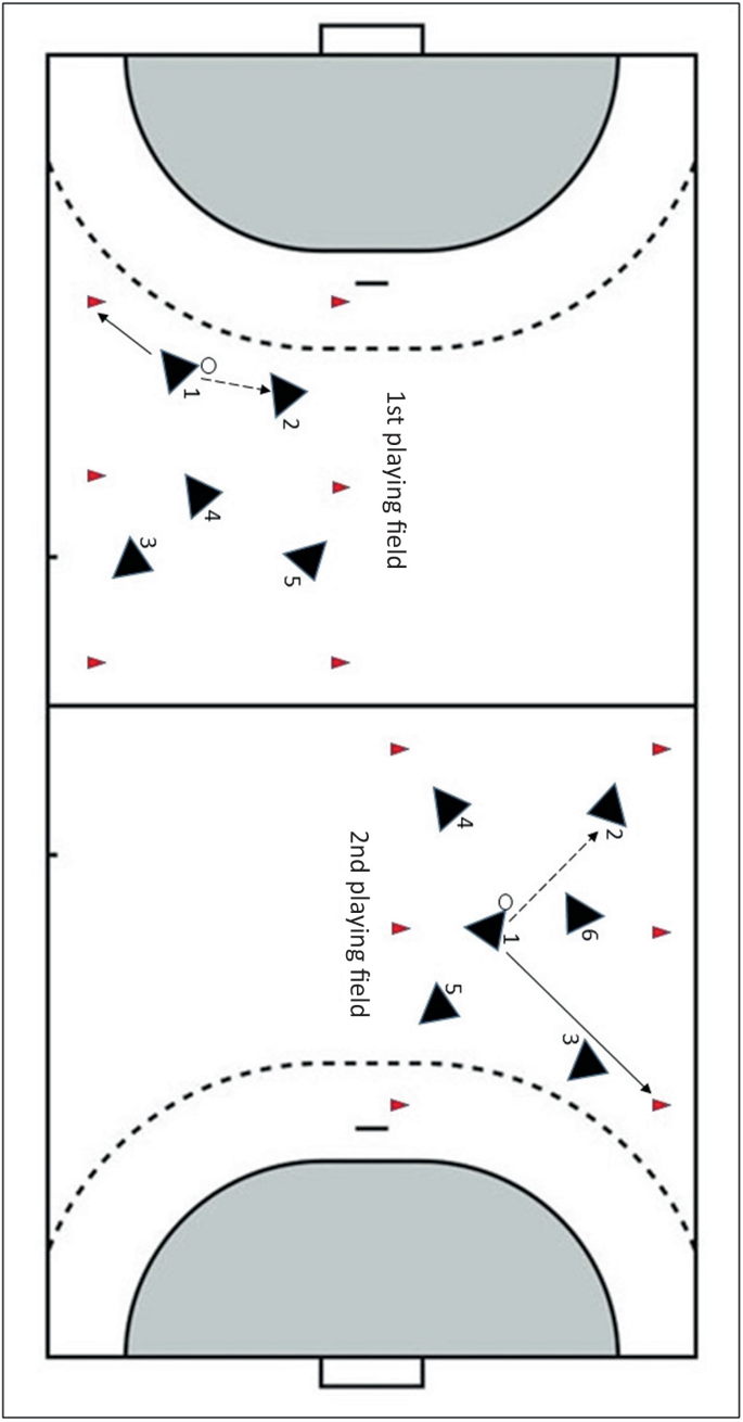 Perception & Strength | Springer Nature Link