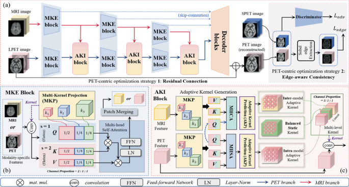 MAK-GAN: Multi-level Adaptive Convolutional Kernels for Asymmetric ...