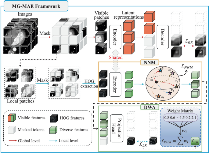 Non-salient Object Segmentation in Medical Images via Pre-trained Multi ...