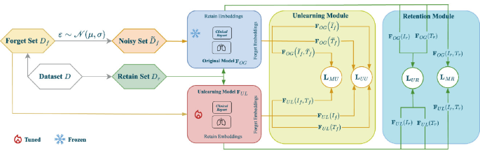 Forget-MI: Machine Unlearning for Forgetting Multimodal Information in Healthcare Settings ...