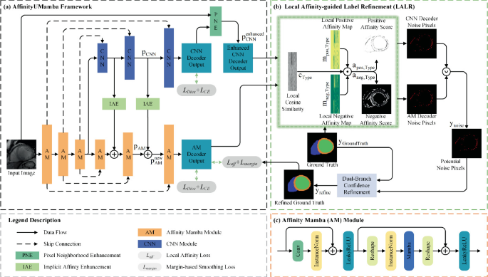 AffinityUMamba: Uncertainty-Aware Medical Image Segmentation via Probabilistic Weak Supervision ...