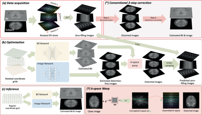 Physics-Informed Implicit Neural Representations for Joint B0 ...