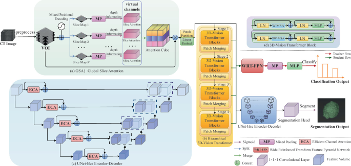 MT-WilmsNet: A Multi-level Transformer Fusion Network for Wilms’ Tumor ...