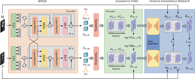 Probabilistic Inverse Consistent Image Registration Using Sparse Bayesian Network | SpringerLink