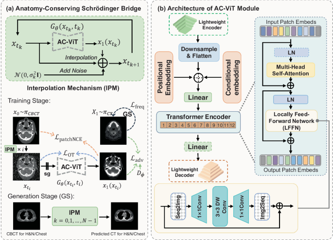 Anatomy-Conserving Unpaired CBCT-to-CT Translation via Schrödinger ...