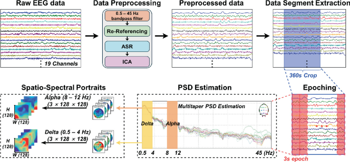 SSPNet: Towards Feasible Spatio-Spectral Portraits-Based Deep Learning ...