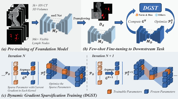 Dynamic Gradient Sparsification Training for Few-Shot Fine-Tuning of CT ...