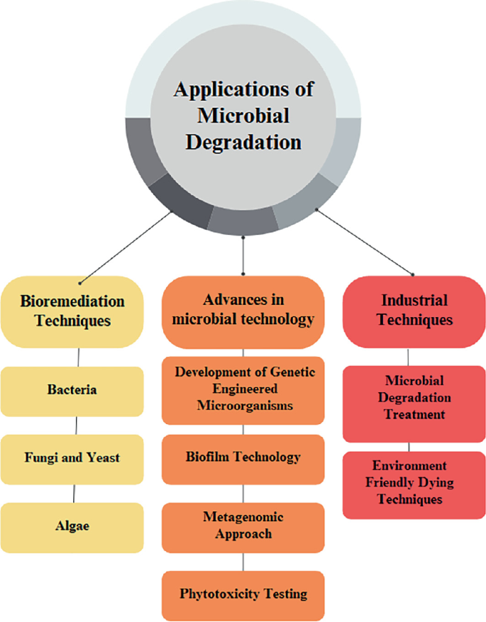 Metabolic Pathways of Microbial Detoxification of Toxic Dyes | Springer ...