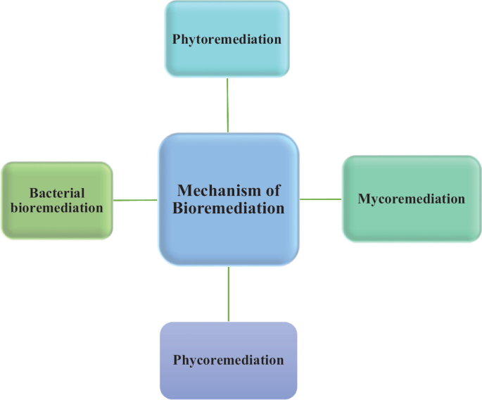 Bioremediation of Heavy Metals in Textile Industry Effluents for ...