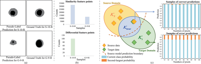 Dual Knowledge-Aware Guidance for Source-Free Domain Adaptive Fundus Image Segmentation ...