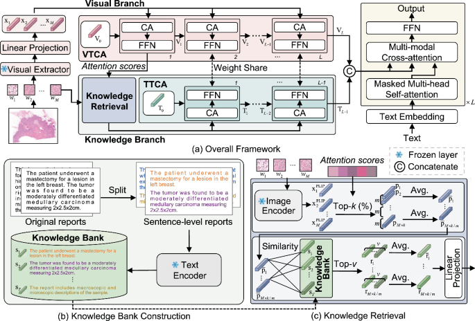Historical Report Guided Bi-modal Concurrent Learning for Pathology Report Generation | Springer ...