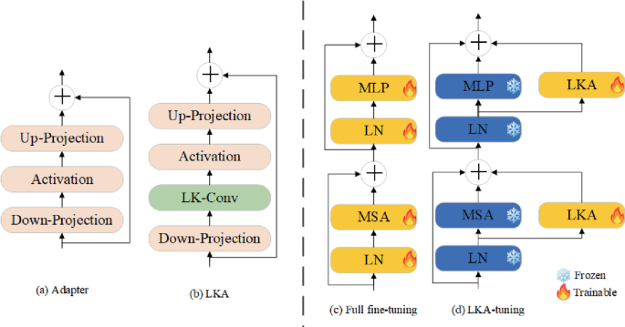 LKA: Large Kernel Adapter for Enhanced Medical Image Classification ...