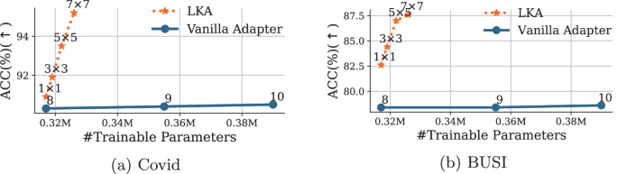 LKA: Large Kernel Adapter for Enhanced Medical Image Classification ...