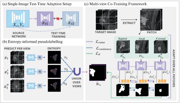 Single Image Test-Time Adaptation via Multi-View Co-Training | SpringerLink