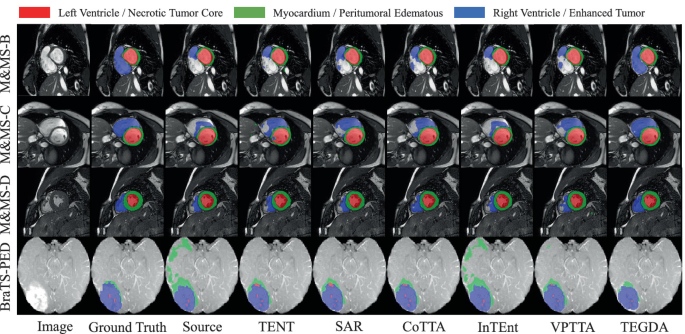 TEGDA: Test-Time Evaluation-Guided Dynamic Adaptation for Medical Image ...