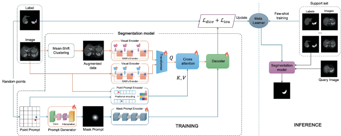 Unleashing SAM for Few-Shot Medical Image Segmentation with Dual ...