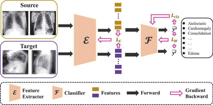 Solving Medical Multi-Label Domain Adaptation via Wasserstein ...