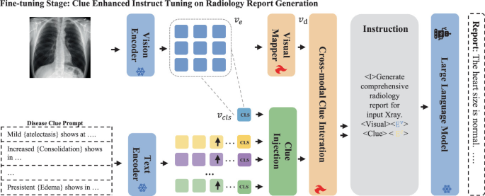 TRRG: Towards Truthful Radiology Report Generation With Cross-Modal ...